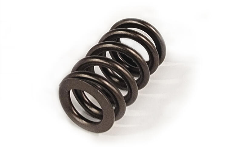 FORD 4VALVE UPGRADED VALVE SPRING SINGLE | LPP813114 | Livernois ...