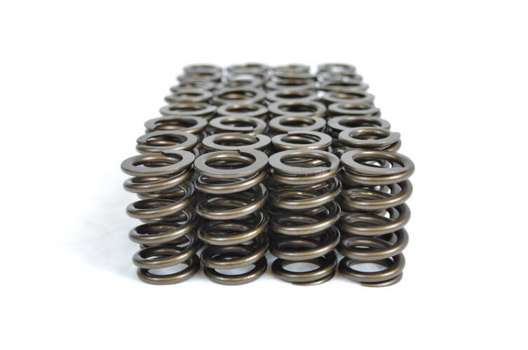 FORD 4 VALVE UPGRADED VALVE SPRING SET | LPP813114-32 | Livernois ...