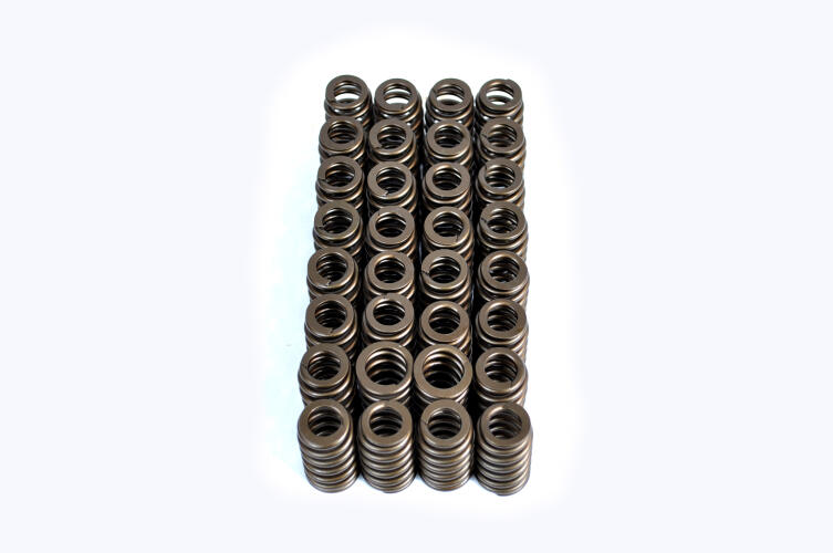 FORD 5.0L 4V UPGRADED VALVE SPRING SET | LPP813115-32 | Livernois ...