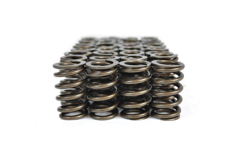 FORD 4 VALVE UPGRADED VALVE SPRING SET | LPP813114-32 | Livernois ...