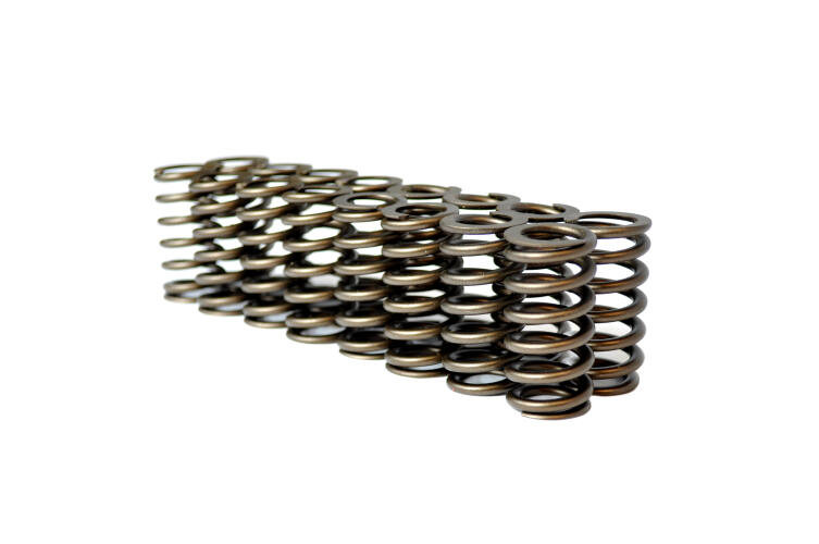 FORD 3VALVE UPGRADED VALVE SPRING SET 24 | LPP813113-24 | Livernois ...