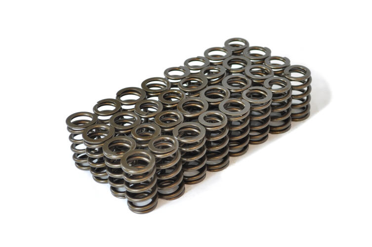 FORD 4 VALVE UPGRADED VALVE SPRING SET | LPP813114-32 | Livernois ...